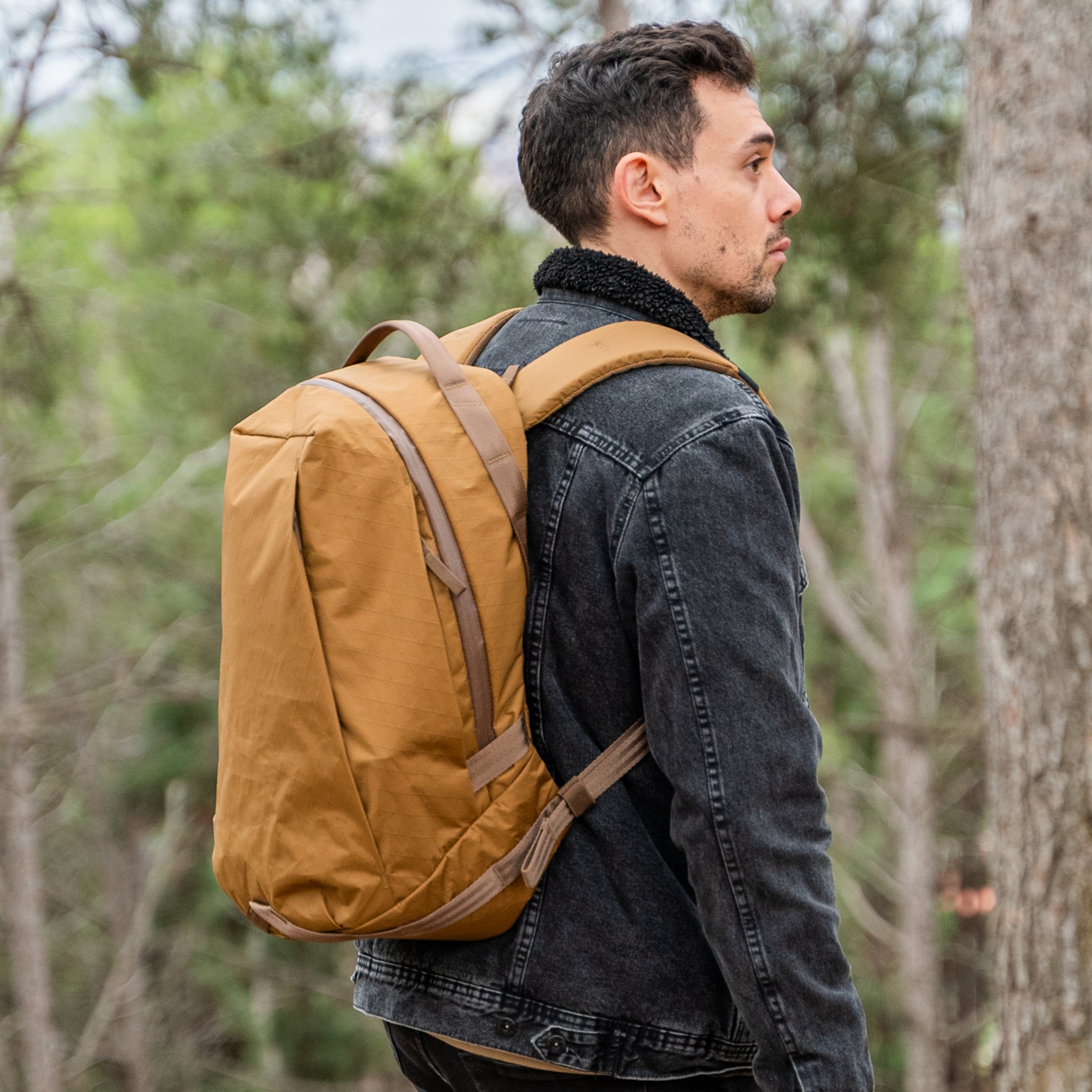 Daily Plus – Able Carry (JP)